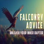 Bal Chatri in Falconry: A Detailed Guide - Falconry Advice