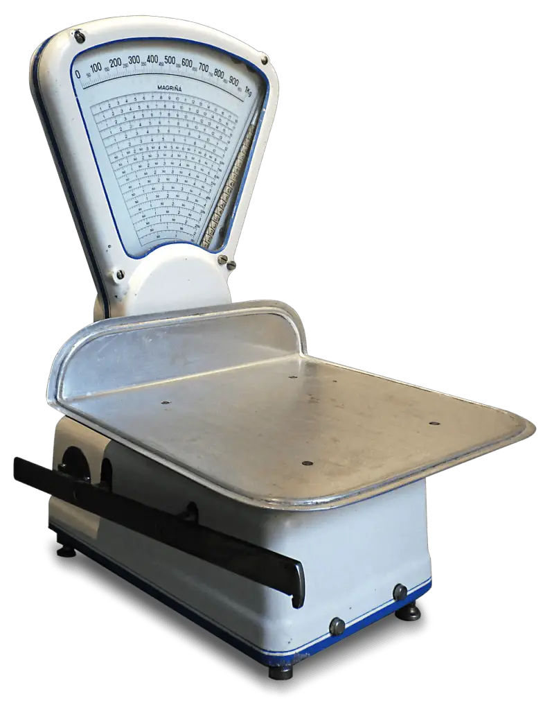 Falconry Scales - Falconry Advice