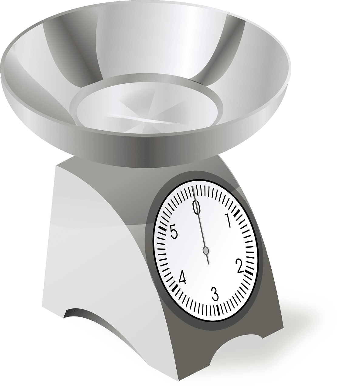 Falconry Scales - Falconry Advice