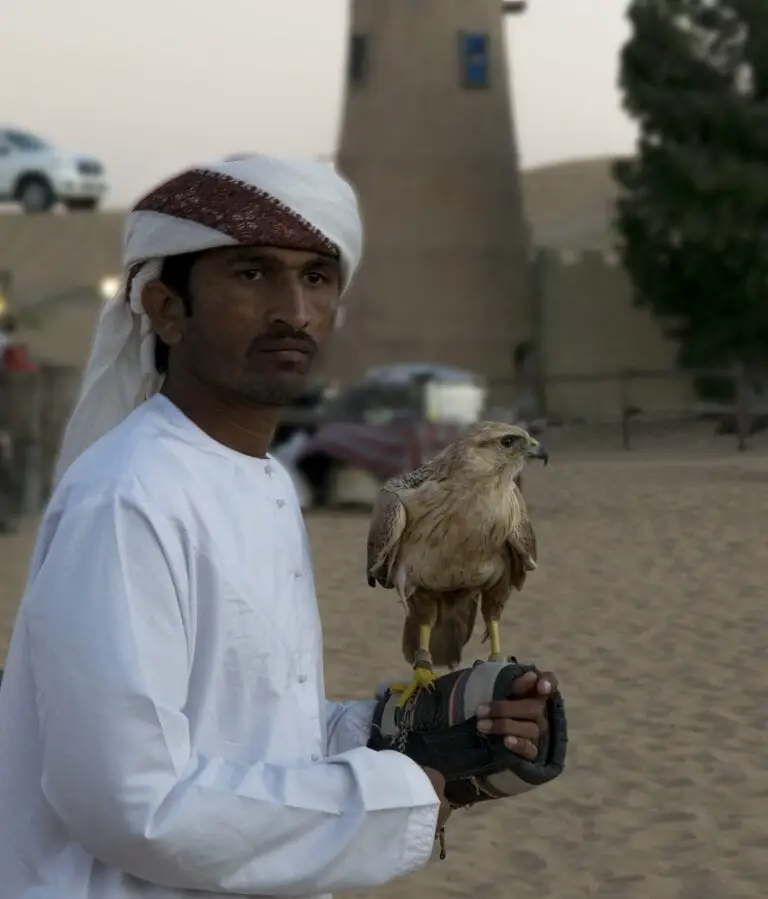 The History of Falconry: Origins and Cultural Significance Worldwide ...