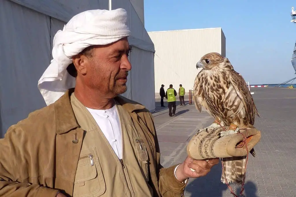The History of Falconry: Origins and Cultural Significance Worldwide ...